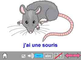 Early Start French 1 - 9Pets